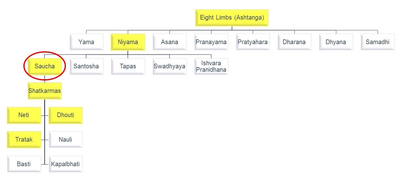 Saucha – Yogic Cleansing – PRACTICE WELLNESS